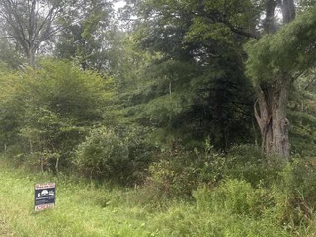 Rattlesnake Rd, Brockway, PA 15824