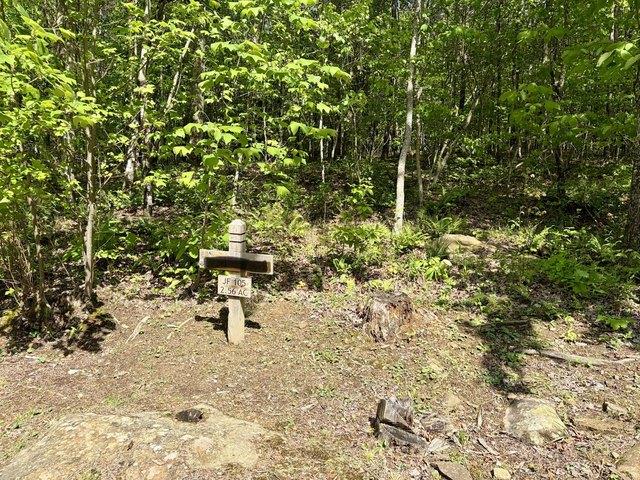 Raulston Falls Rd, Jasper, TN 37347