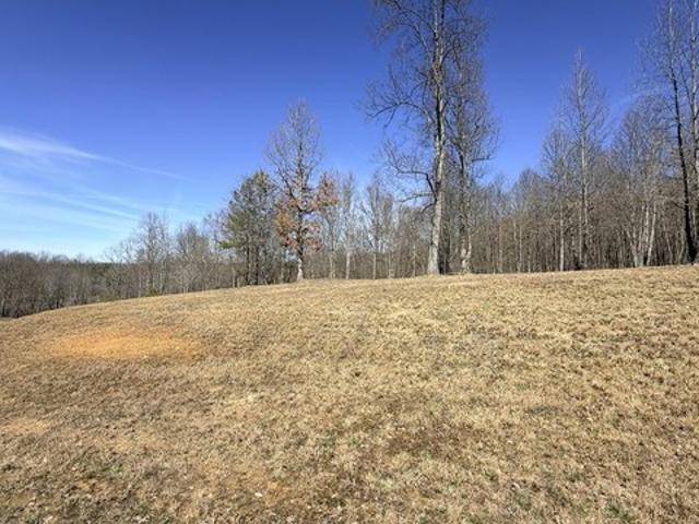 Raulston Falls Rd, Jasper, TN 37347
