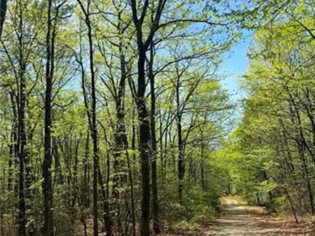Raven Ridge Trl, Dobson, Plot For Sale