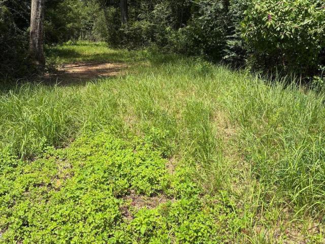 Ray Wilson Road, Vancleave, MS 39565