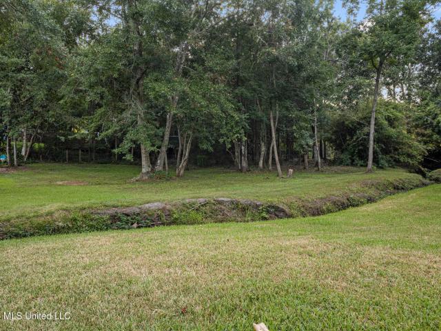 Rayburn Avenue, Ocean Springs, MS 39564
