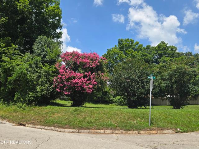 Rayder Ave, Loudon, TN 37774