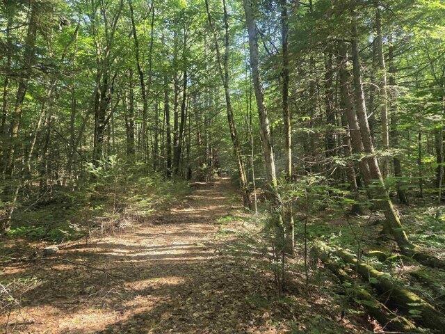 Raymond NH 03077 105094535