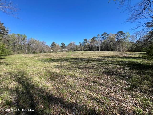 Raymond Bolton Road, Bolton, MS 39041