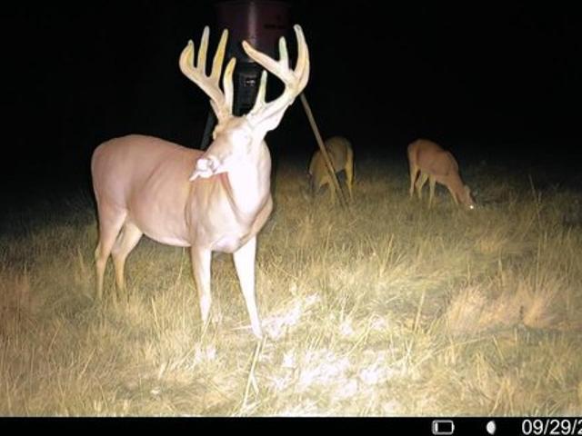 Raymond Rd, Jackson, MS 39212