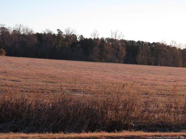 Raynham Road, Fairmont NC 28340