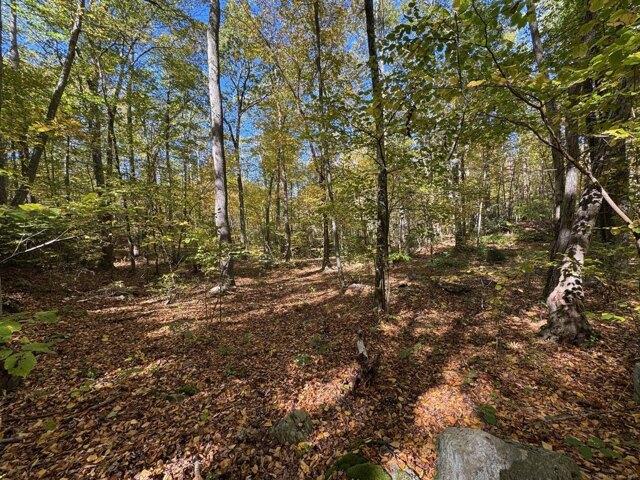 Rd Lot Plains, Haddam, Plot For Sale