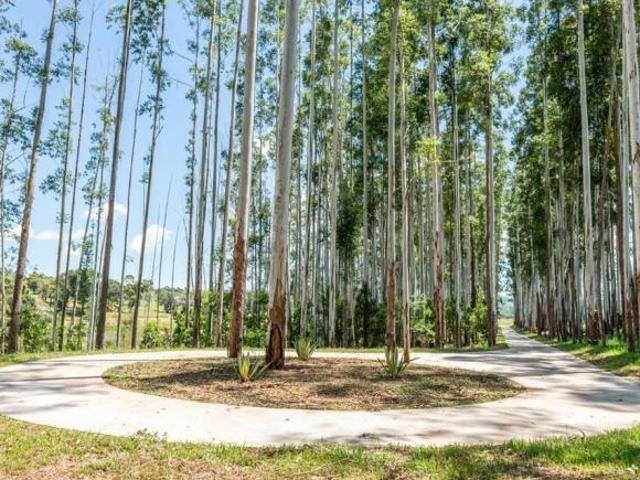 RDSCRT 274 Lote tuah347_2 3960828