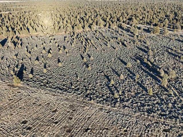 Re Rock Rd, Macdoel, CA 96058