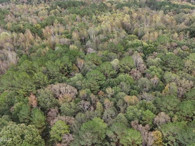 Remus Rd, Carthage, MS 39051