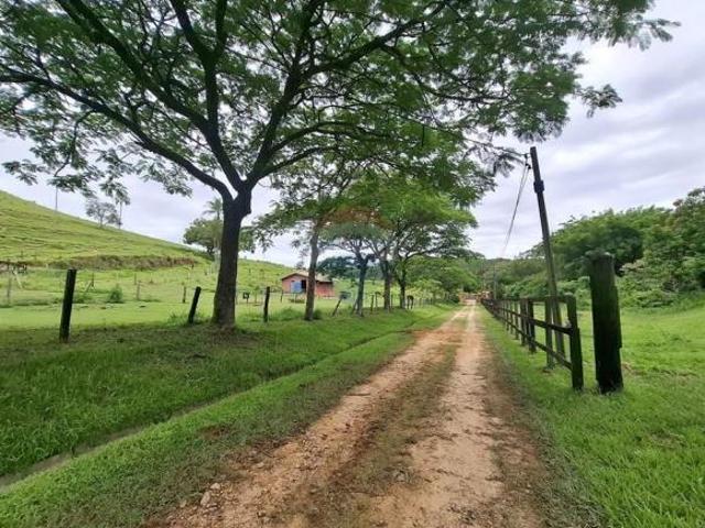 RE/MAX VENDE Fazenda / Haras na região de Amparo com 16 alqueires paulistas, área de lavoura e cria