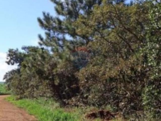 RE/MAX VENDE Sitio de 19,4098 hectares Romaria/ MG, OPORTUNIDADE R$ 370.000,00