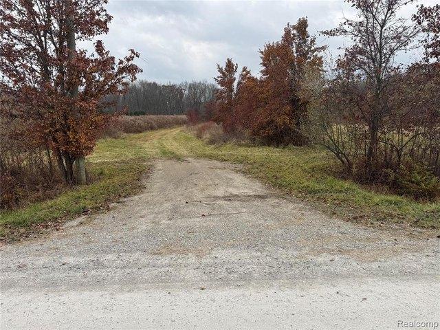 Remer Rd, China Township, MI 48054