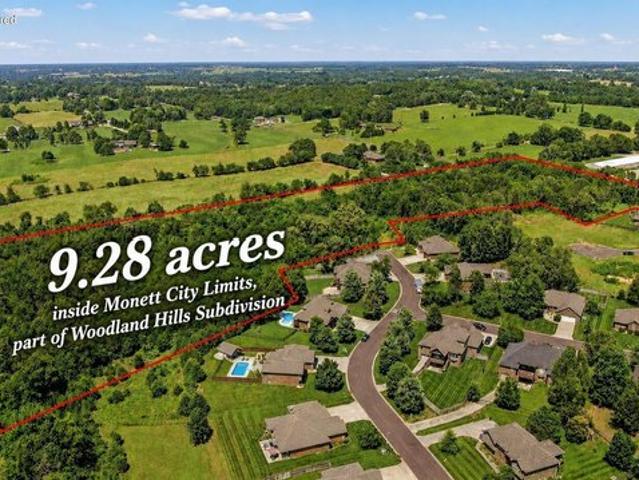 Remington Dr, Monett, MO 65708