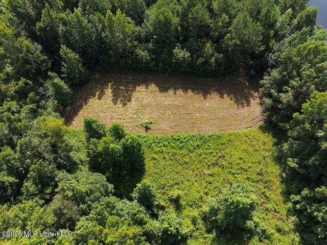 Remington Road, Poplarville, MS 39470