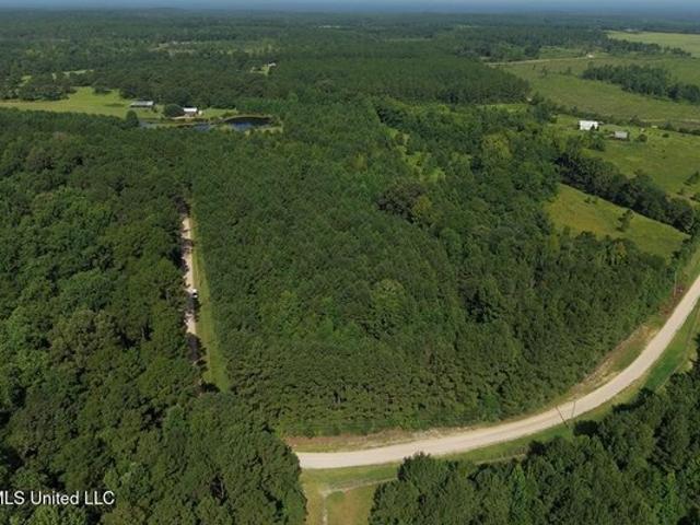 Remington Rd, Poplarville, MS 39470