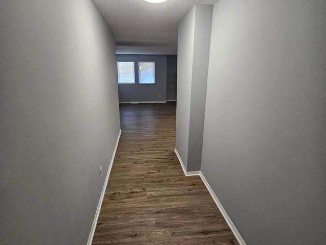 Remodeled 2 & 3 apartments 4 Bedroom Apartment for Rent at 1102 E Colorado Ave, Urbana, IL 61801