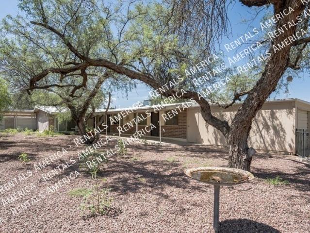 Remodeled apartment near University of Arizona