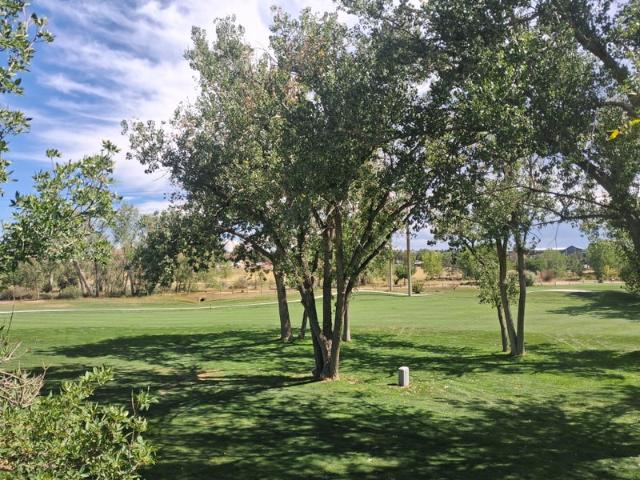 Remodeled Littleton Townhome on the Fairway