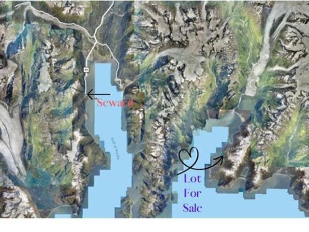 Remote Seward, AK 99664