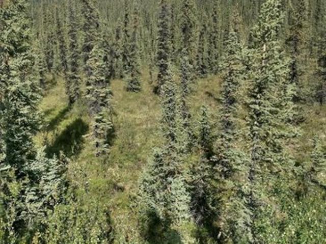 Remote, Slana, AK 99586