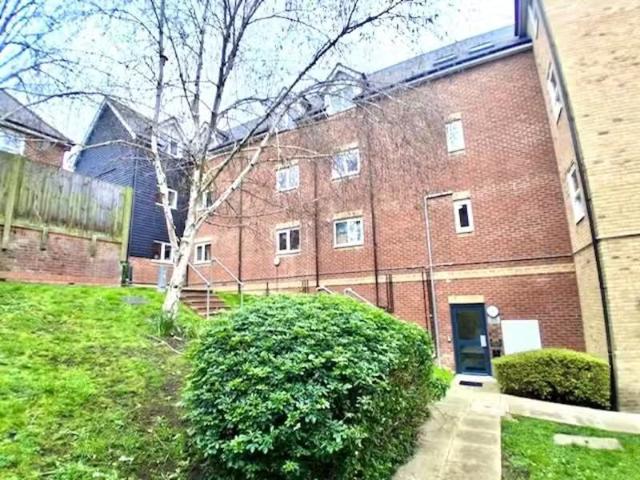 Charming 1 BA 1 bedroom apartment for rent in Archer Place, Bi.