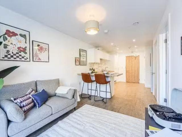 Unique 1 BA 1 bedroom apartment for rent in Bolt Works, Lister.