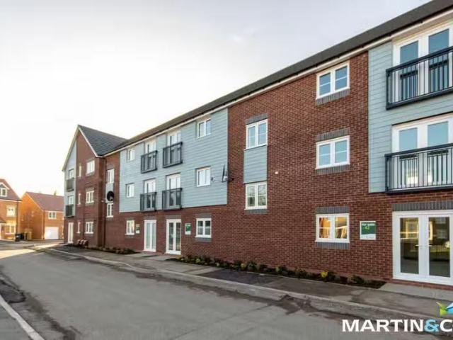 Nice 1 BA 1 bedroom apartment for rent in Perry Park View, Tam.
