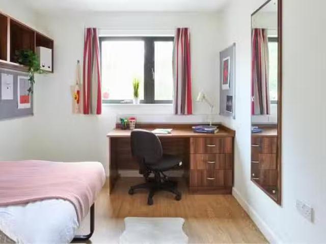 Nice 1 BA 1 bedroom flat share for rent in Exeter Student Se.