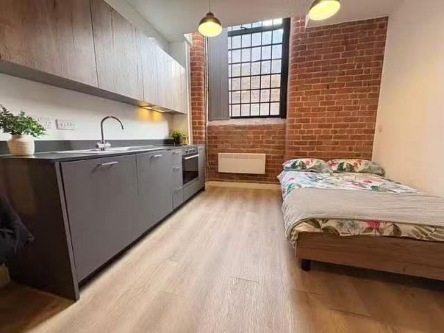 Deal! 1 BA 1 bedroom private hall for rent in Silk Mill, Galga.