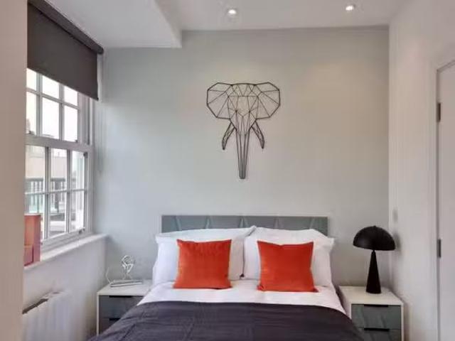 Cozy 1 BA Studio flat for rent in 56 Chapter House, Howes Plac.