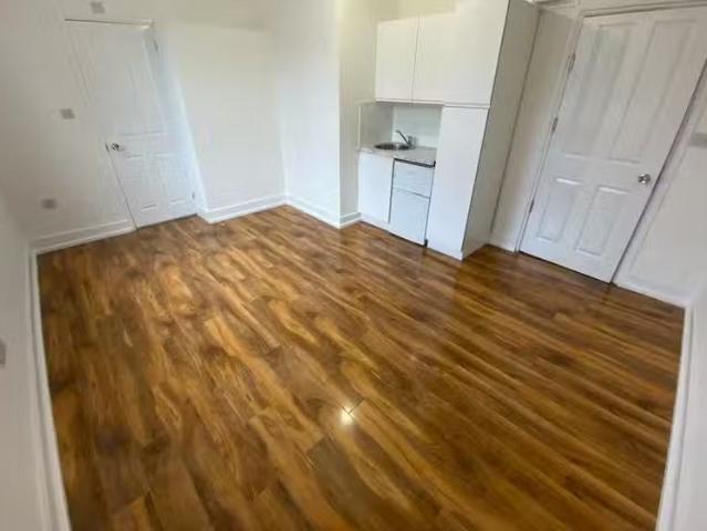 Just in! 1 BA Studio flat for rent in Room 2 Hoe Street E17