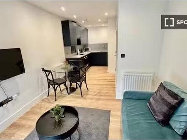 New 1 BR 1 bedroom apartment for rent in London, South Acton