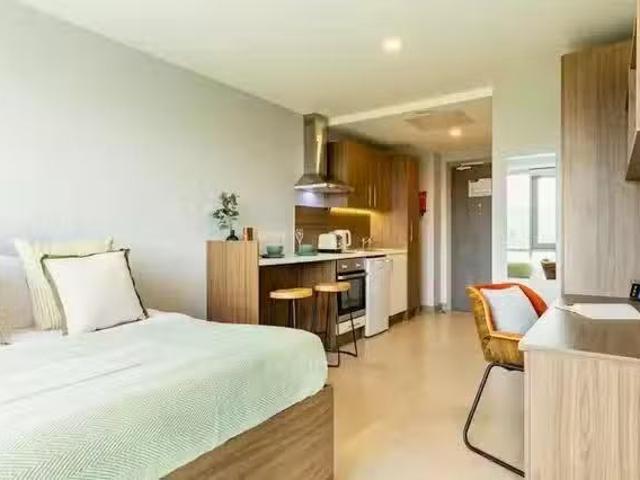 New 1 BR Classic Studio