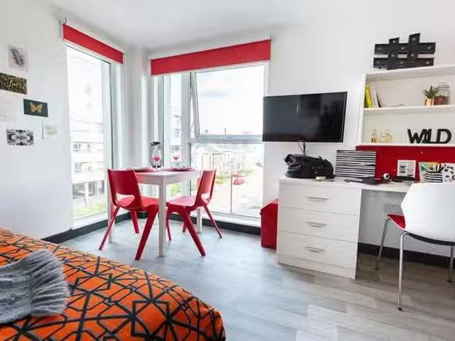 Cozy 1 BR Julian Court Classic Studio