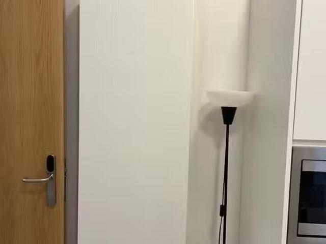 Nice 1 BR Park House Standard Studio