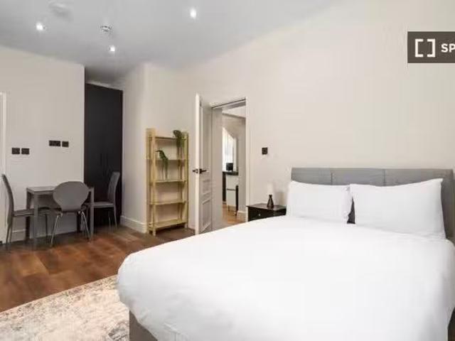 Cozy 1 BR Studio for rent in Mapesbury, London