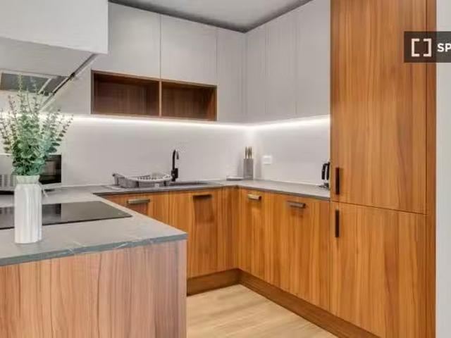 Cheap 1 Room 1 bedroom apartment for rent in Tokyngton, London