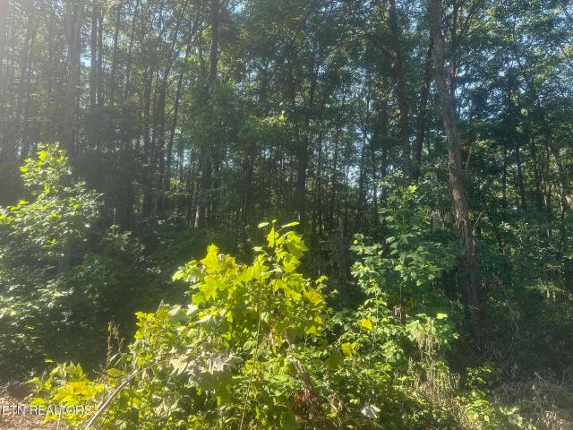 Renegade Mountain Pkwy, Crab Orchard, TN 37723