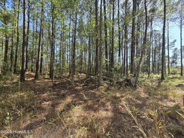 Renee Dr Lot B, Hampstead, NC 28443