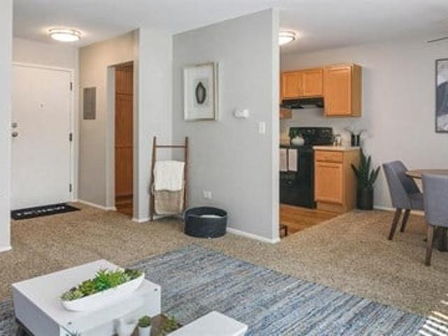 ReNew Aurora Alderwood
