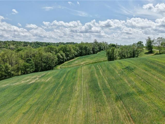 Renner Road