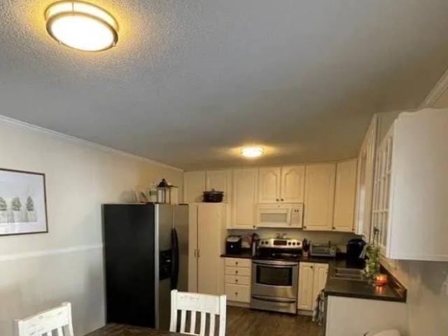 Renovated and Furnished