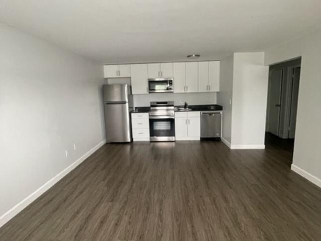 Renovated and Spacious 1BR apartment in Avon Apartments!