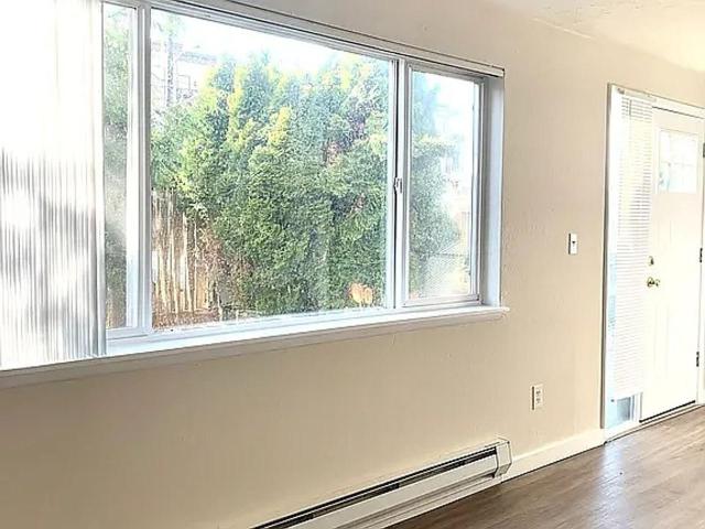 Renovated Apartments at Cedar Lane | Updated Kitchens & LVP Flooring | 1 Month Free! 1 Bedroom Apartment for Rent at 12536 Greenwood Ave N, Seattle, WA 98133 Bitter Lake