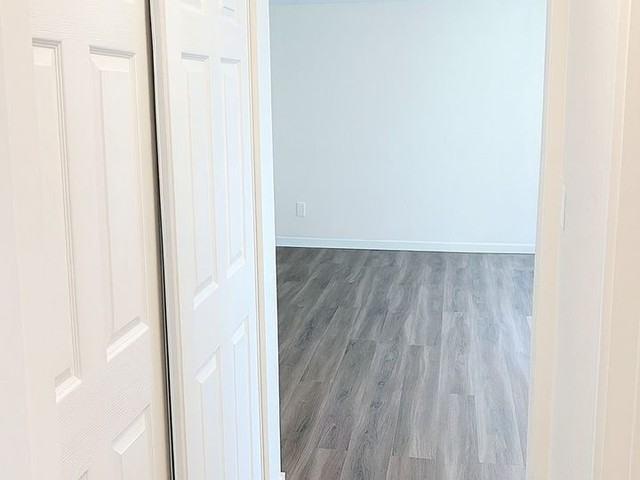 Renovated Apartments at Cedar Lane | Updated Kitchens & LVP Flooring | 1 Month Free! 1 Bedroom Apartment for Rent at 12536 Greenwood Ave N, Seattle, WA 98133 Bitter Lake