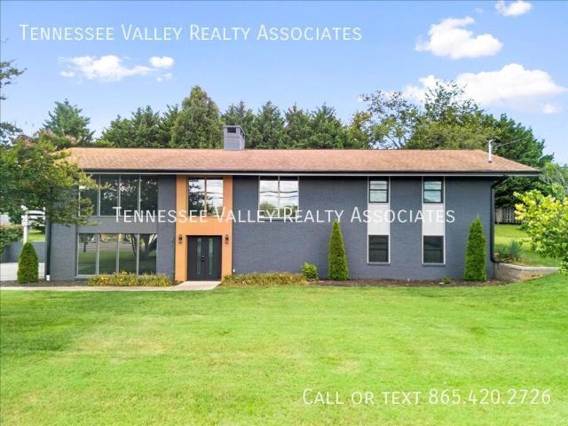 Renovated Mid Century Modern Home in Belmont West with Finished Basement & Fenced Yard
