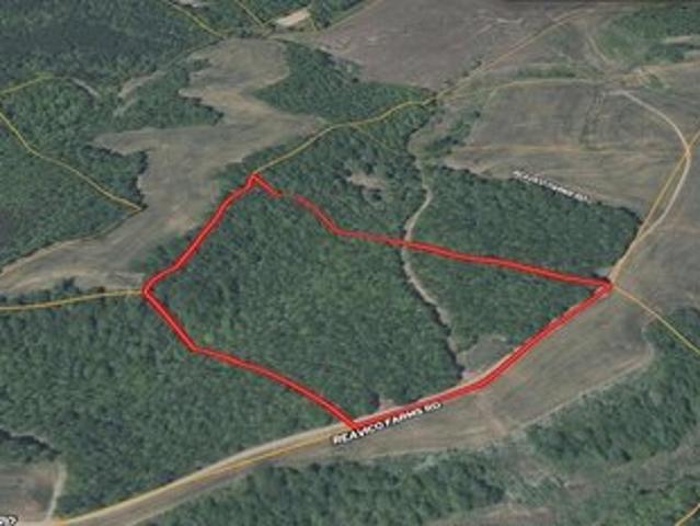 Reavico Farm Rd Lot 3, Yadkinville, NC 27055