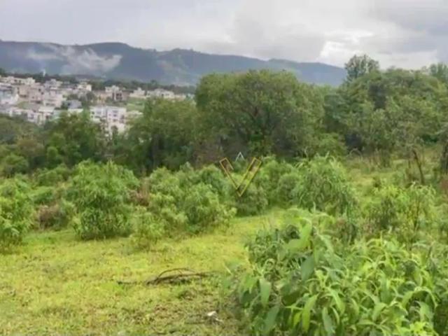 Área, 21751 m² venda por R$ 23.051.840,00 ou aluguel por R$ 15.326,00/mês Residencial Onze. Alph